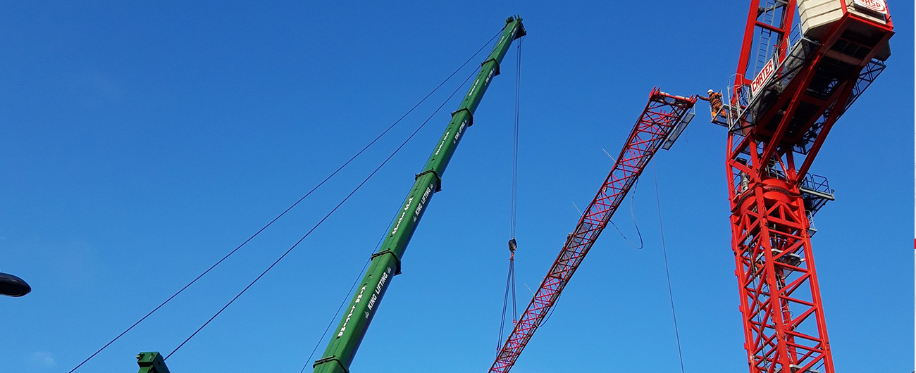 STEM crane dismantling - RG Carter Construction